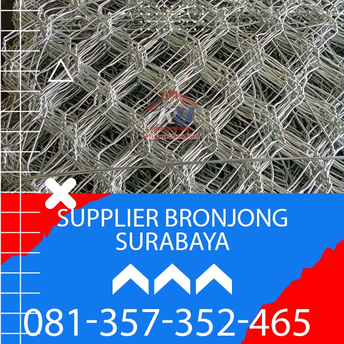 Manfaat Bronjong Gabion Surabaya untuk Mengatasi Pengikisan